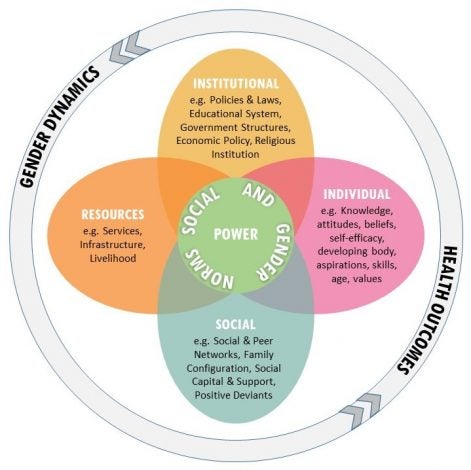 Flower Framework_square_ENG - Institute for Reproductive Health