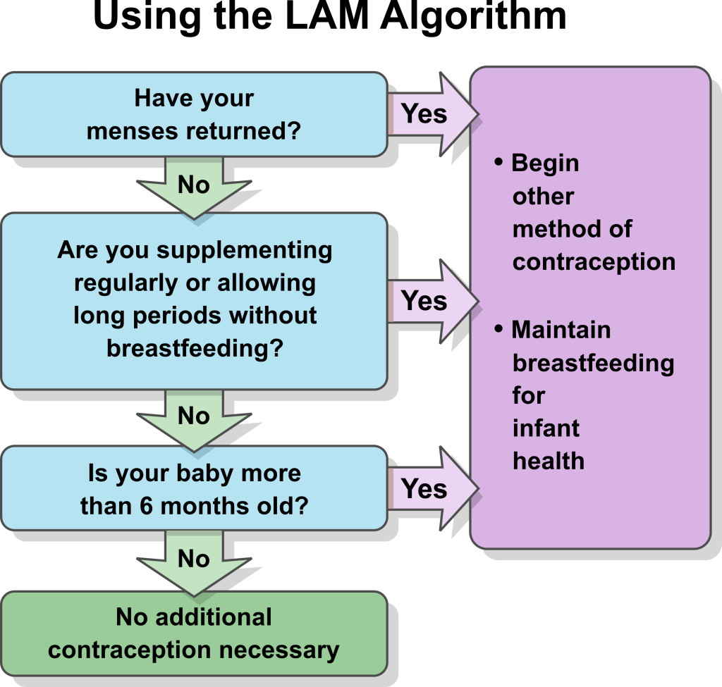 LAM ALGORITHM-2 - Institute for Reproductive Health